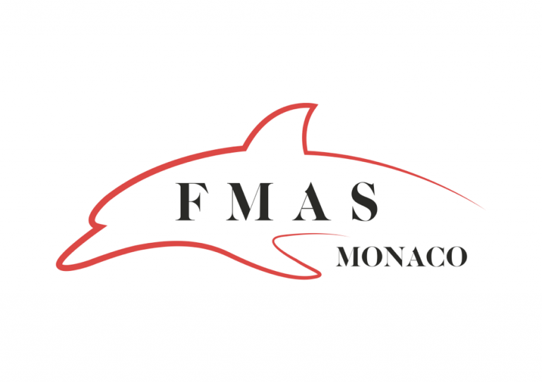 Logo Fmas - Anao
